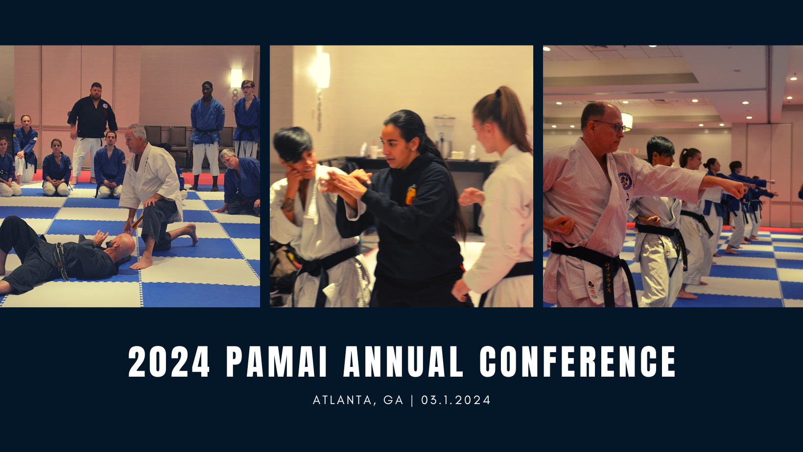 The 2024 PAMAI is ON!!! - Crabapple Martial Arts Academy